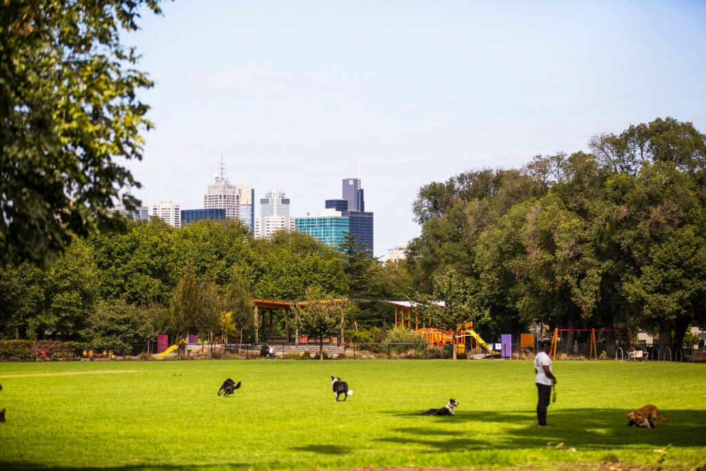 18 Best Dog Walks & Hikes Melbourne 2026 - Humble Trail