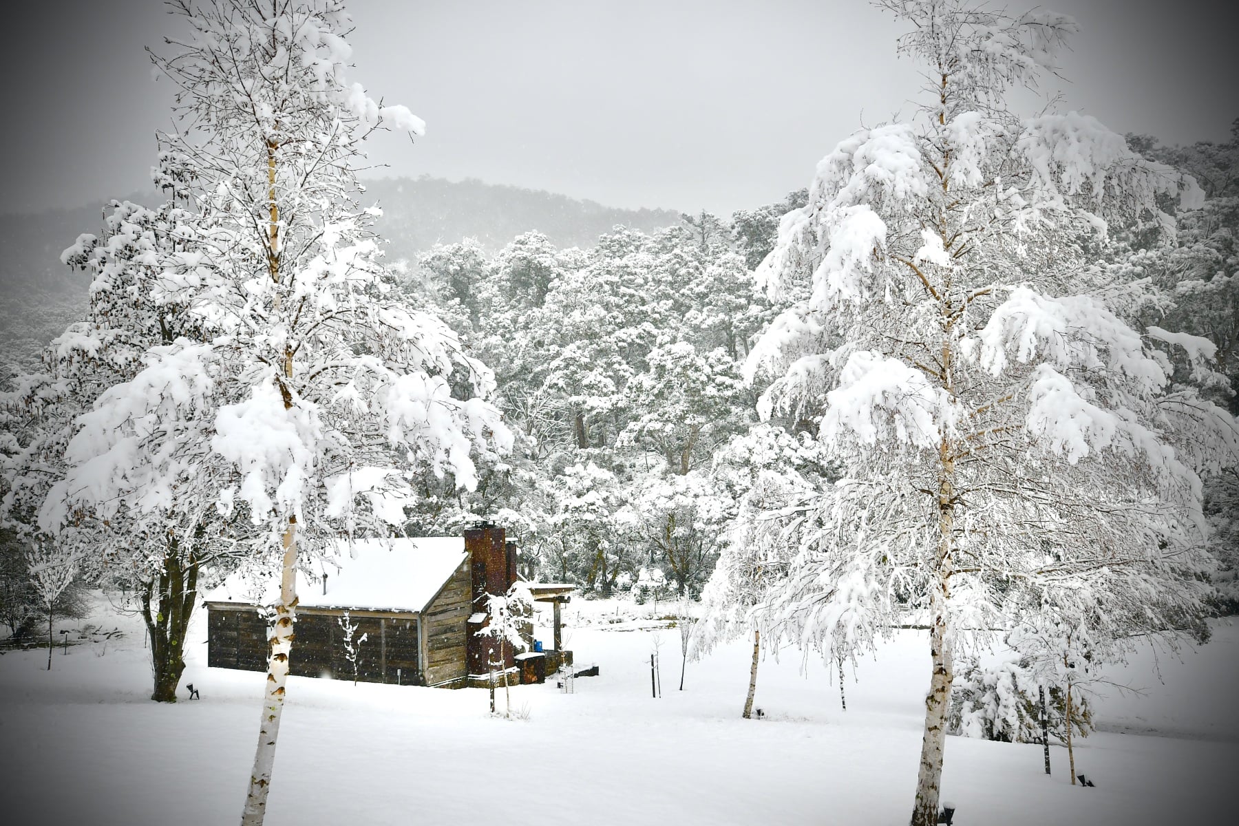 Source: Moonbah Hut